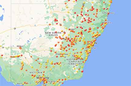 Mouse activity on the rise in NSW paddocks - Seedstock Central